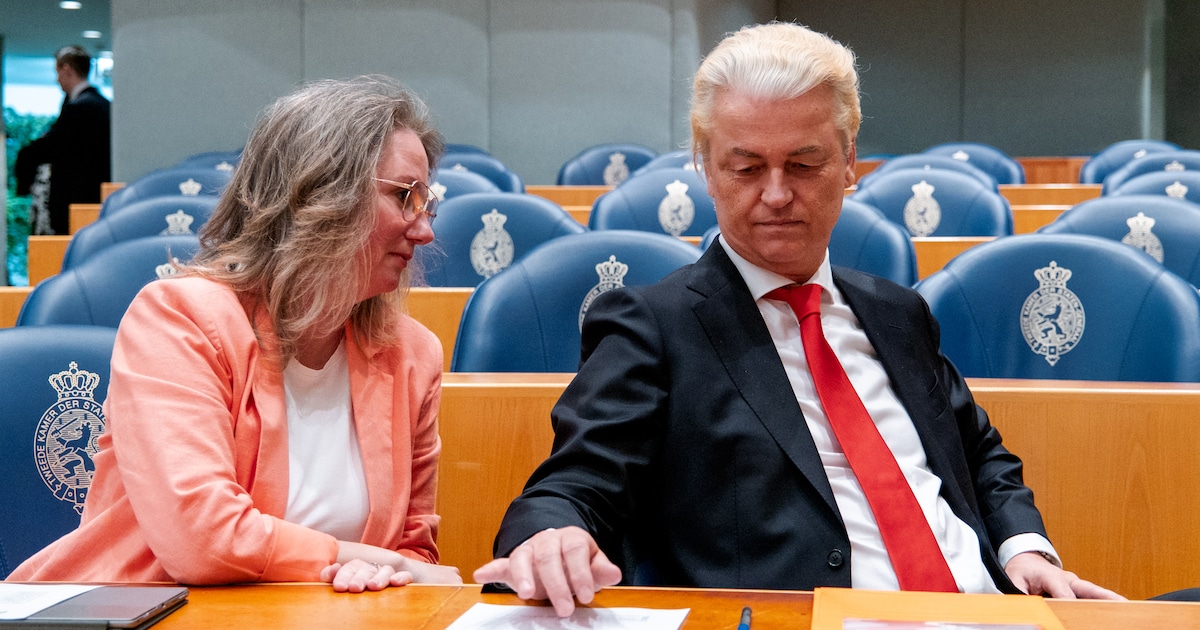 Wat is er toch aan de hand tussen partijleider Geert Wilders en ...