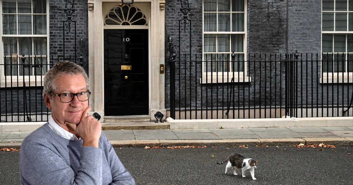 Larry de kat had duidelijk geen klik met de jack russell van Boris ...