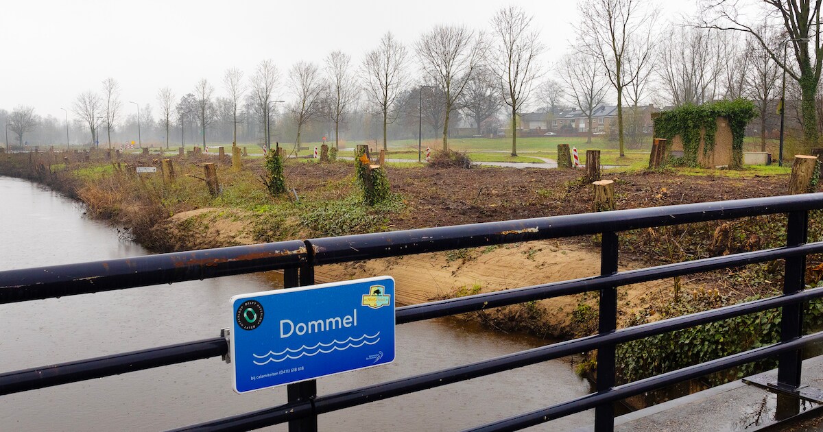 De Dommel heeft ruimte nodig: langs de oever tweehonderd bomen gekapt ...