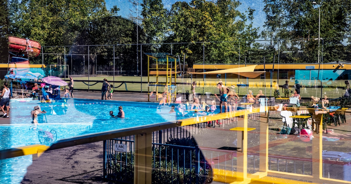 Heel weekend feest voor jubilerend Openluchtzwembad De Dolfijn | Best ...
