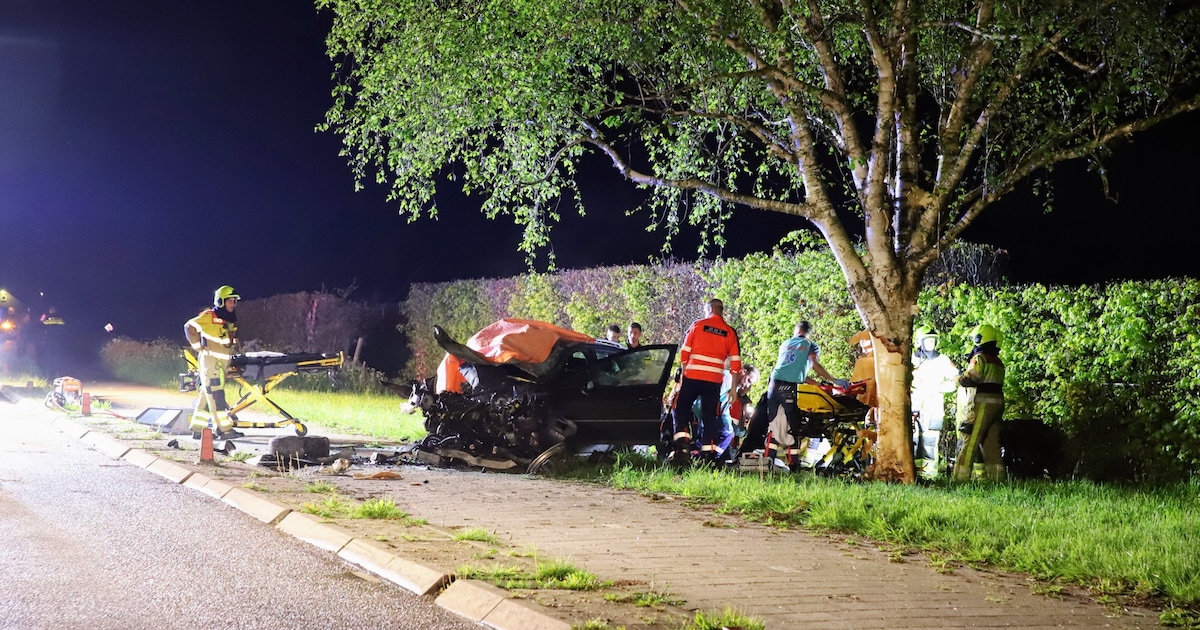 Dode en drie gewonden bij ernstig ongeluk in Ophemert: ‘Was een forse klap’ | Binnenland | ED.nl
