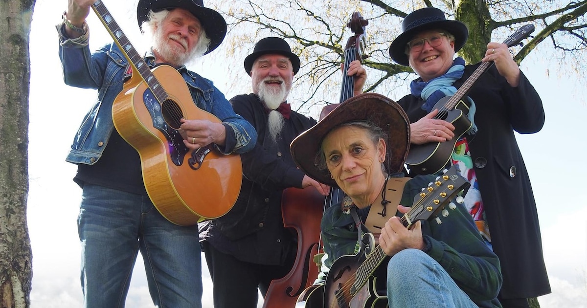 T-Bone stringband bij Peelpodium | Asten | ED.nl