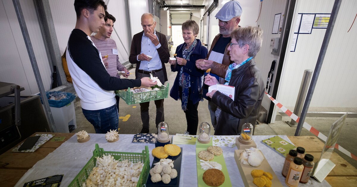 In de hoofdstad van de frikandellen wordt volop gewerkt aan de toekomst ...