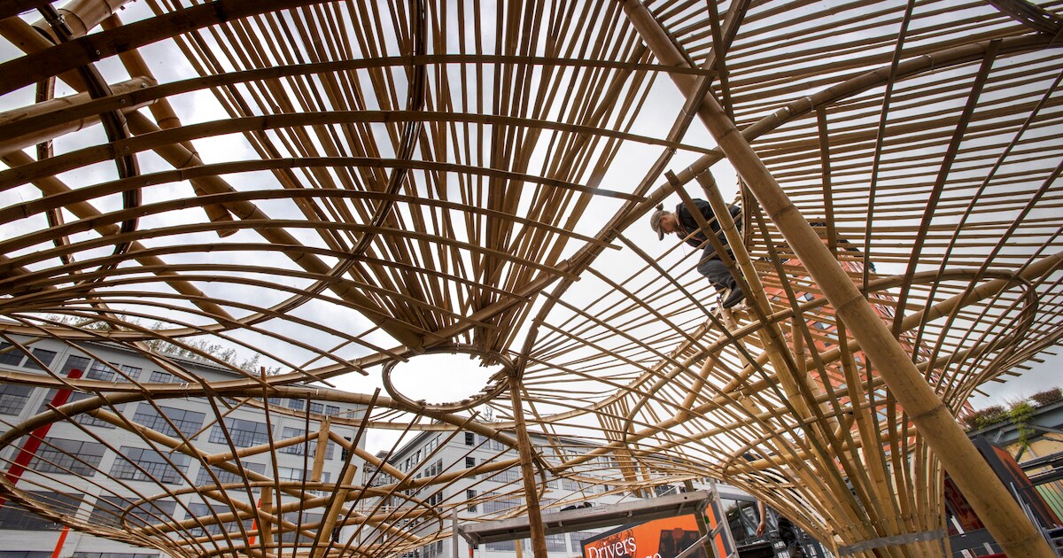 Philips Museum organiseert Meet the Designers in Eindhoven | Eindhoven ...