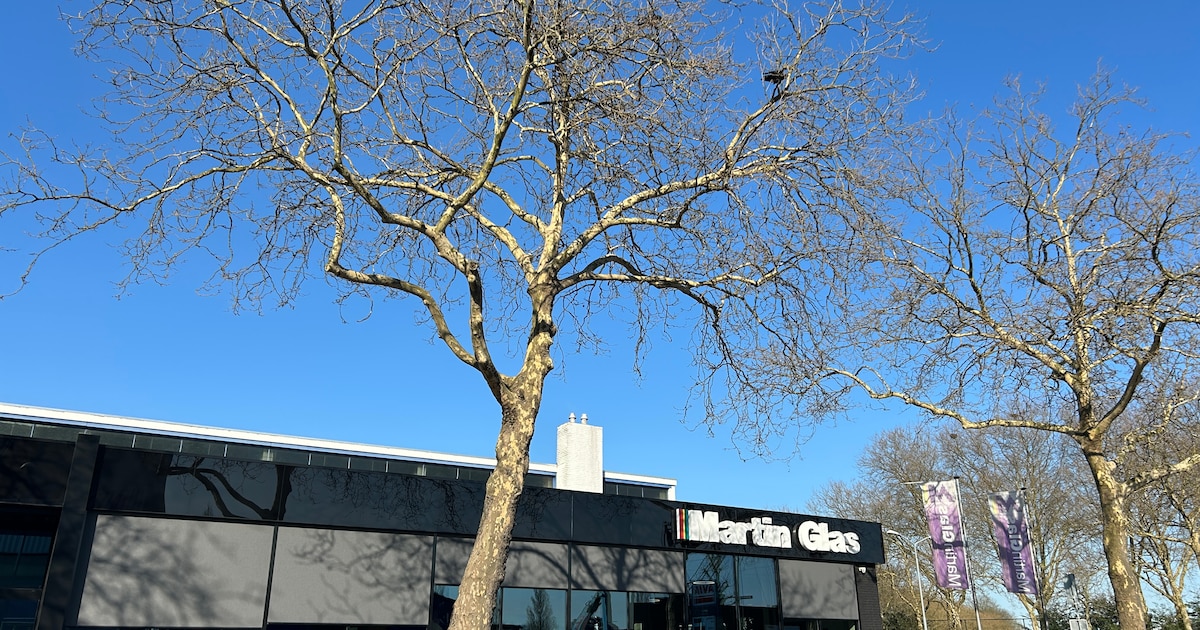 Martin Glas neemt Helmondse concurrent over | Eindhoven | ED.nl