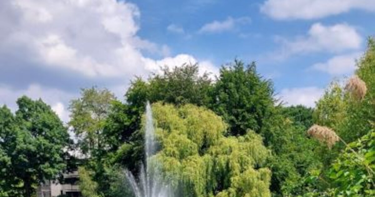 Nieuwe fontein geplaatst in vijver in Son en Breugel | Son en Breugel ...