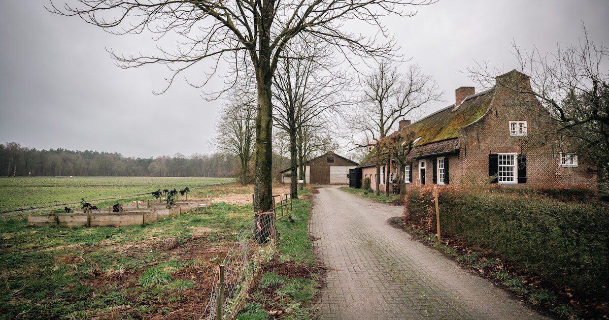 Rond historische Oirschotse hoeve groeien straks nieuwe bruggen en ...