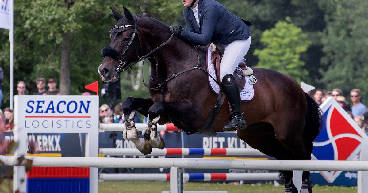 Festival zit CSI Eindhoven in de weg: stekker uit 51ste editie springconcours aan Karpendonkse ...