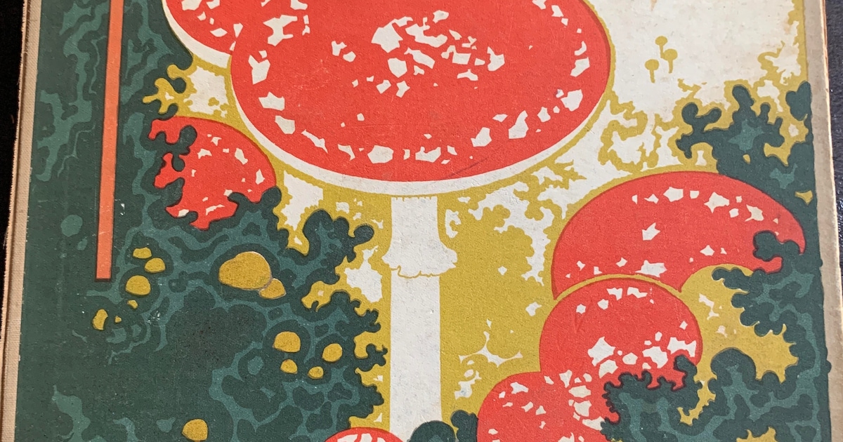 Vraag en aanbod: Wie heeft belangstelling voor de echte hele oude ...