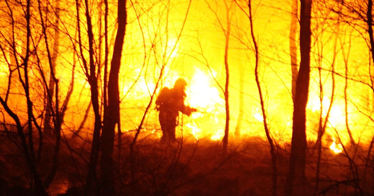 Alarm bells surely rang at the fire department, but an alarming report ...