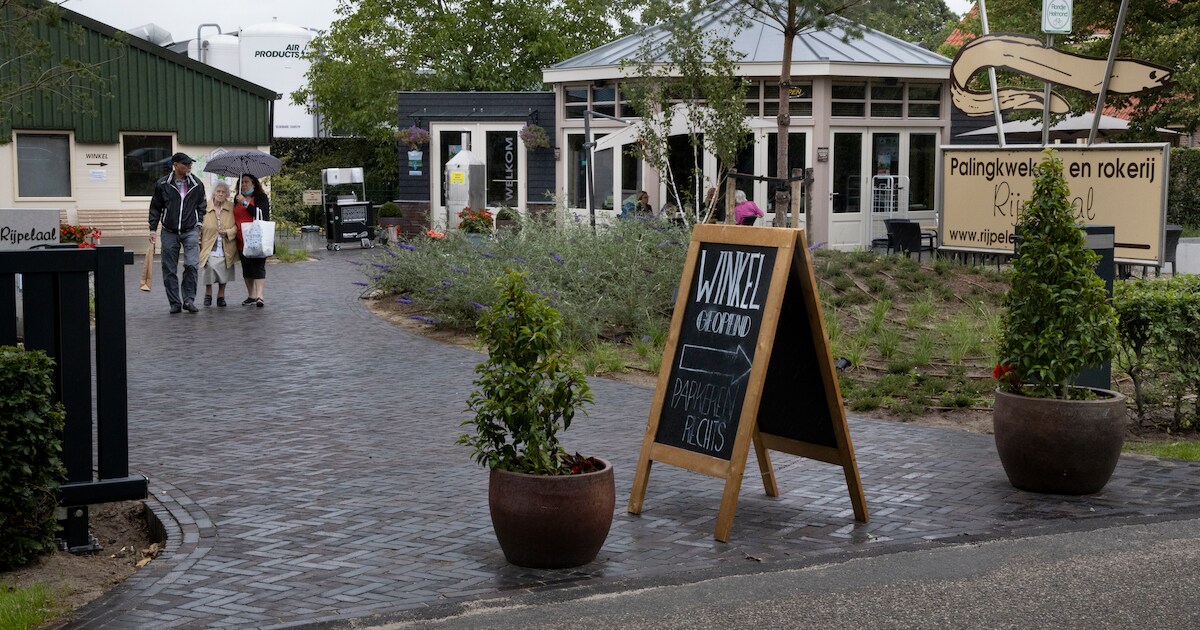 Palingkwekerij Rijpelaal breidt uit in Limburg | Helmond | ED.nl