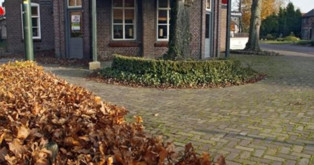 Roel Engel uit Son uitbater restaurant Nederwetten | Overig | ed.nl