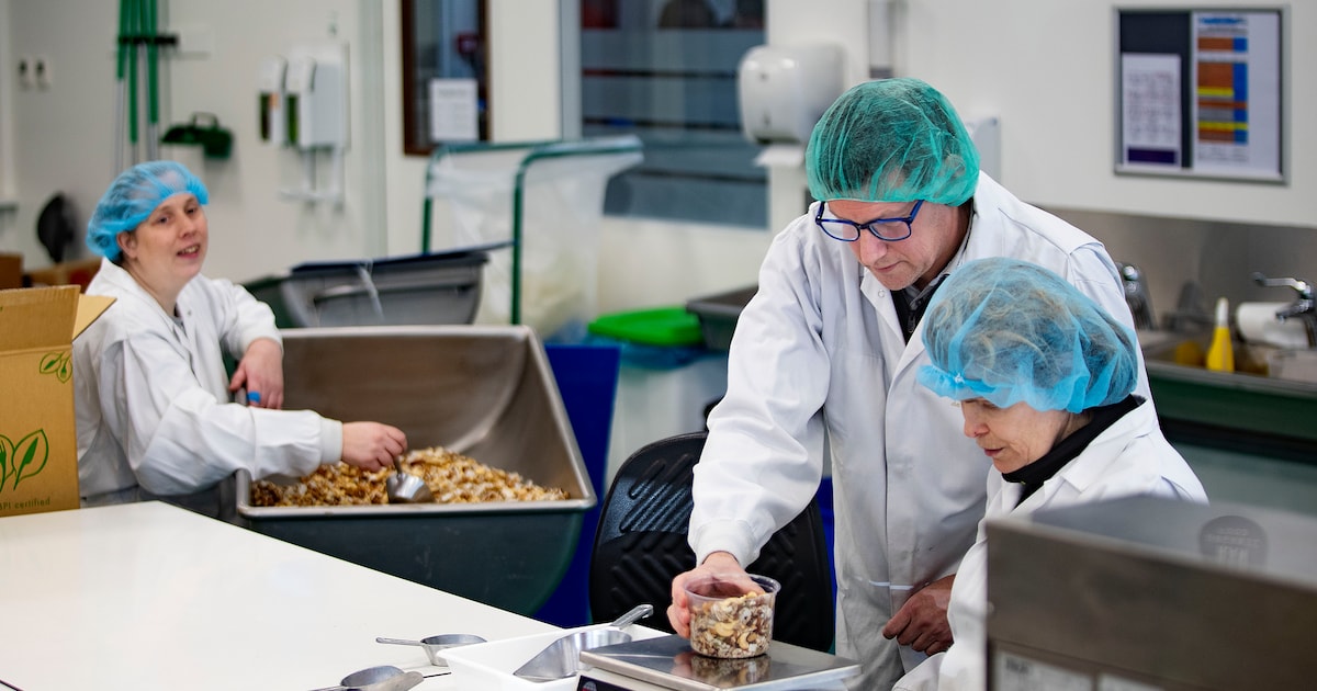 Oud-PSV’er Juul Ellerman is in zijn element als voorman bij Senzer in ...