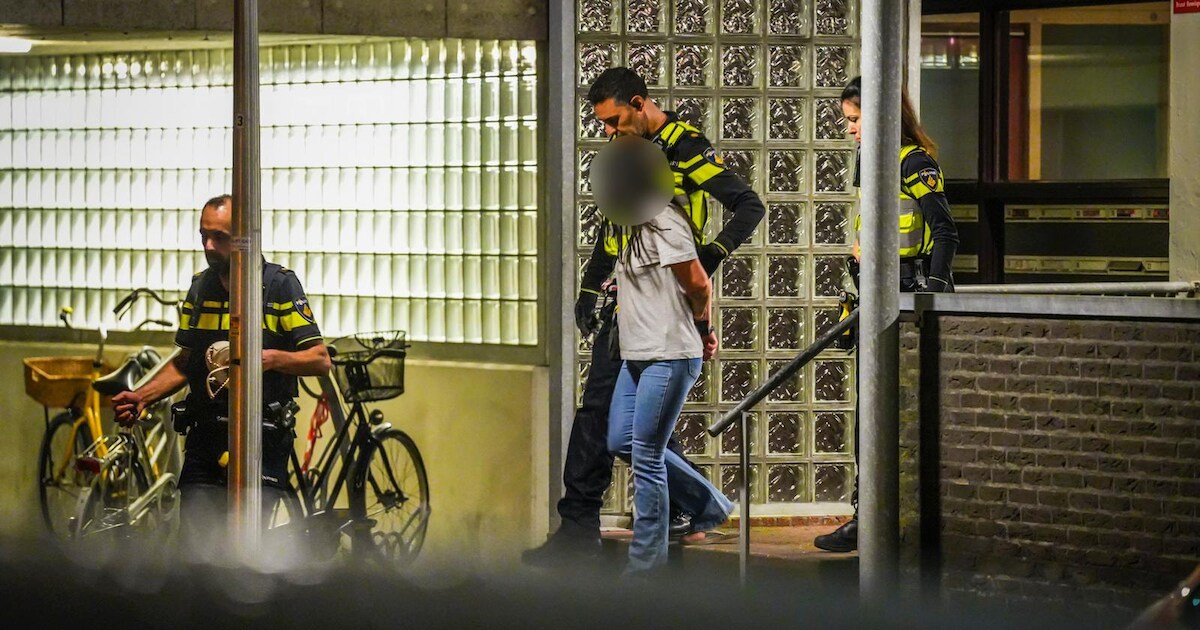 Gewonde bij steekpartij Hudsonlaan Eindhoven, politie houdt verdachte aan | Eindhoven | ed.nl