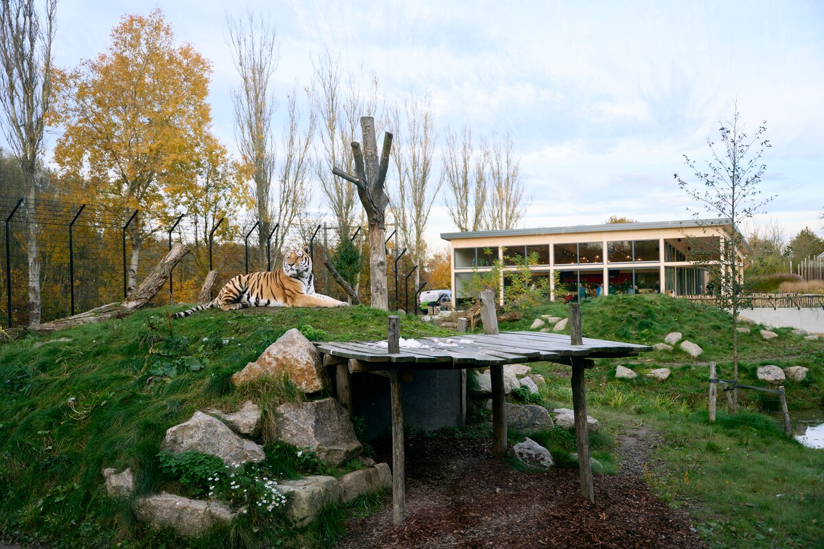 Restaurant De Waterplaats is nieuwe pleisterplaats in Eindhoven Zoo ...