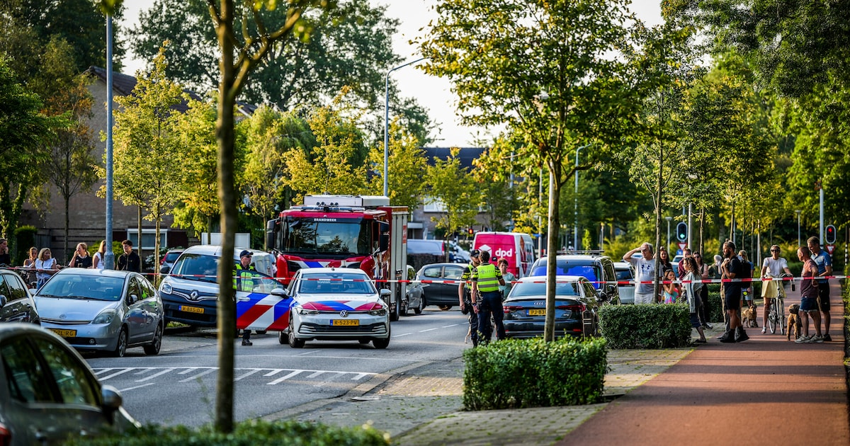 Verdachten dodelijke schietpartij bij Henri Dunantpark in Eindhoven mogelijk bij meer zware ...