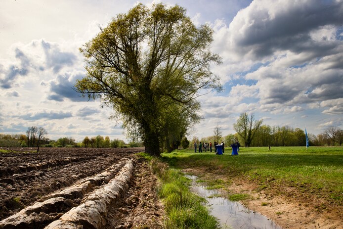 Salamander wandelt nu makkelijker van Nuenens Broek naar de Dommel, al ...
