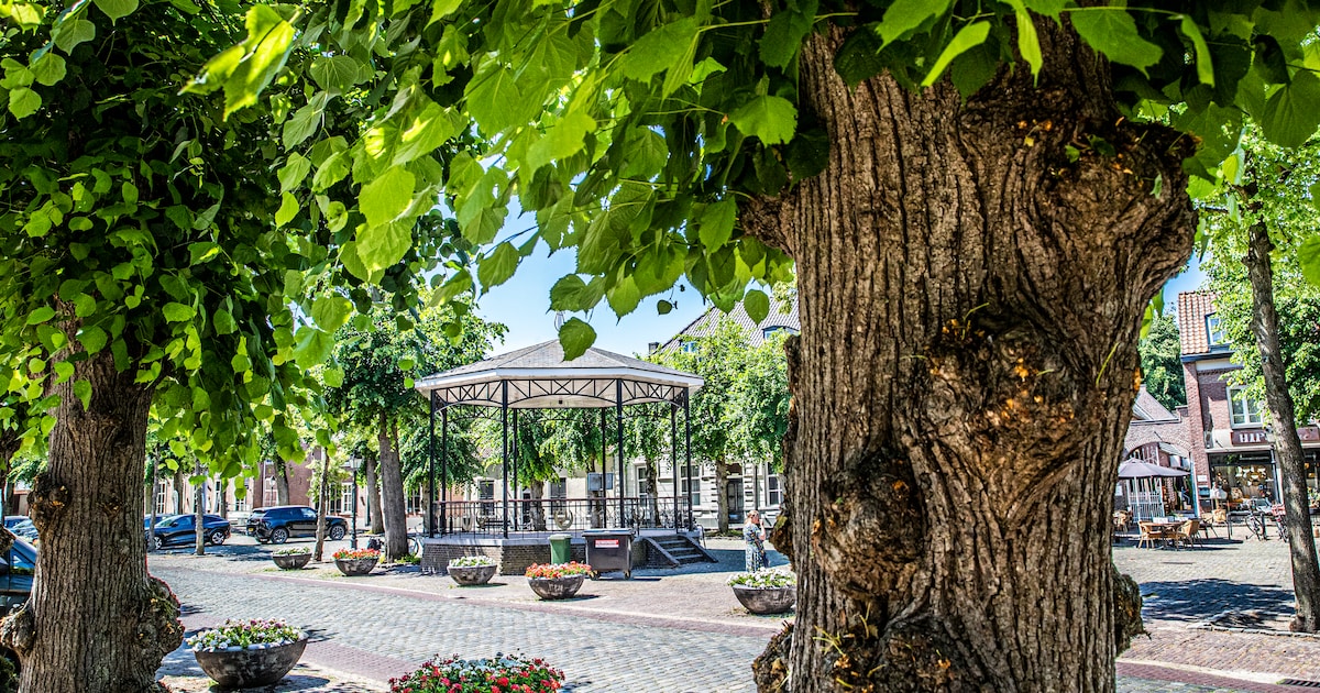 Middelste rij bomen op Eerselse Markt blijft behouden, aanleg ...