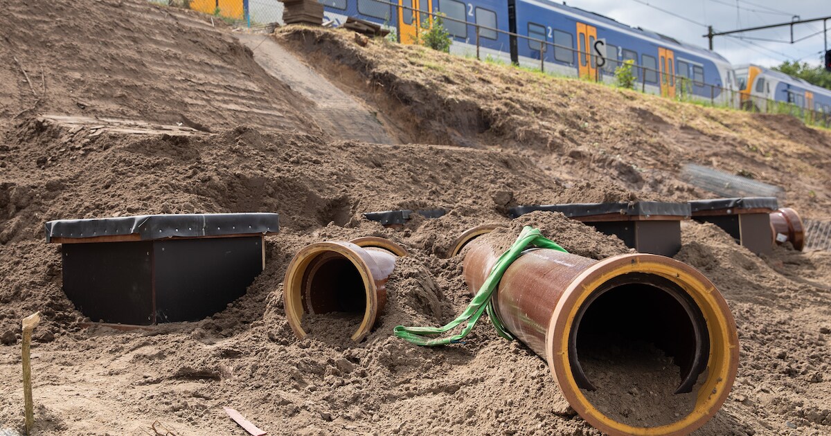 Nog even en treinen kunnen fullspeed over de nieuwe dassenburcht bij ...