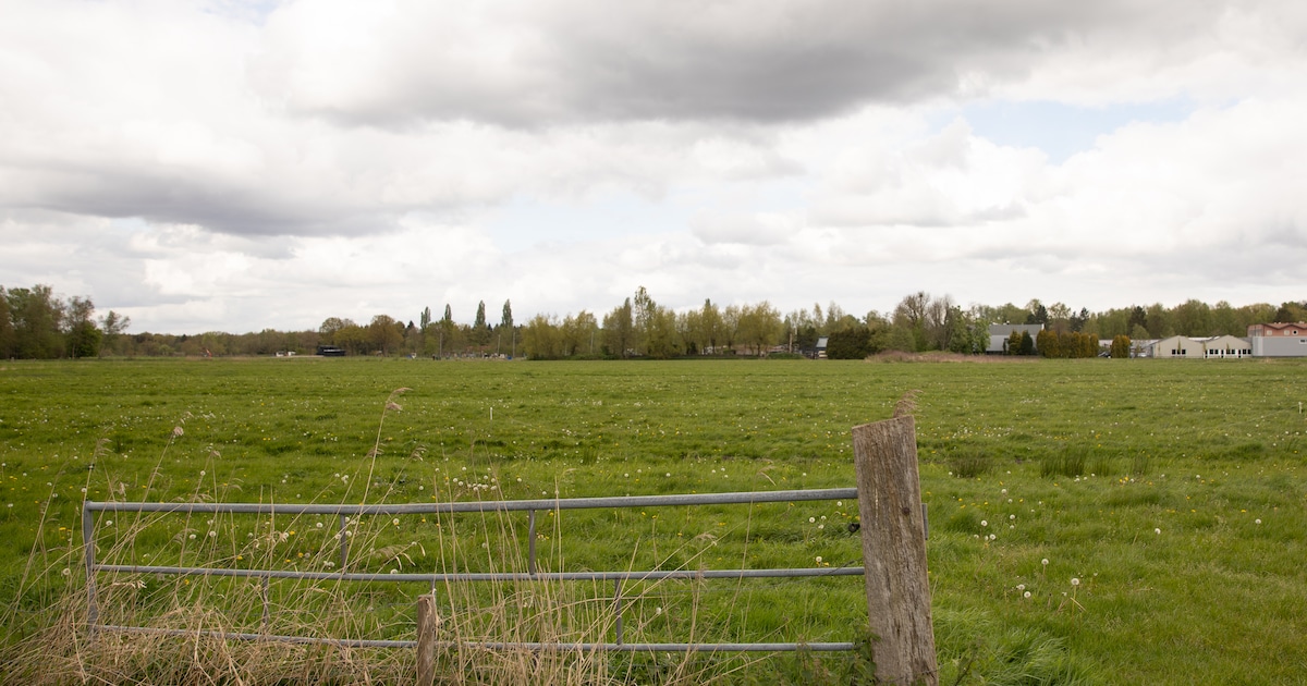Cranendonck biedt blokken landbouwgrond aan met focus op duurzaamheid ...