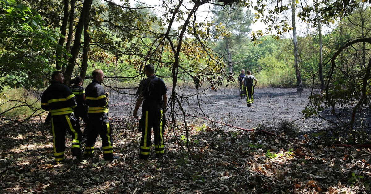 Natuurbrand in Bergen op Zoom onder controle | Brabant | ED.nl