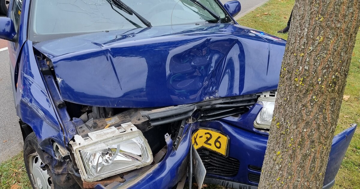 Auto botst frontaal tegen boom in Veldhoven, inzittenden gooien vlak voor crash nog ...