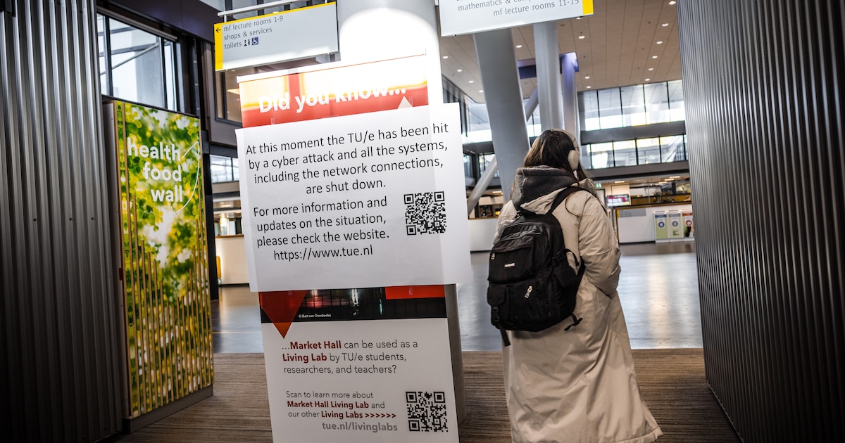 Docent Niels uit Helmond: ‘Vrees voor daling mbo-banen in de ict voelt ...