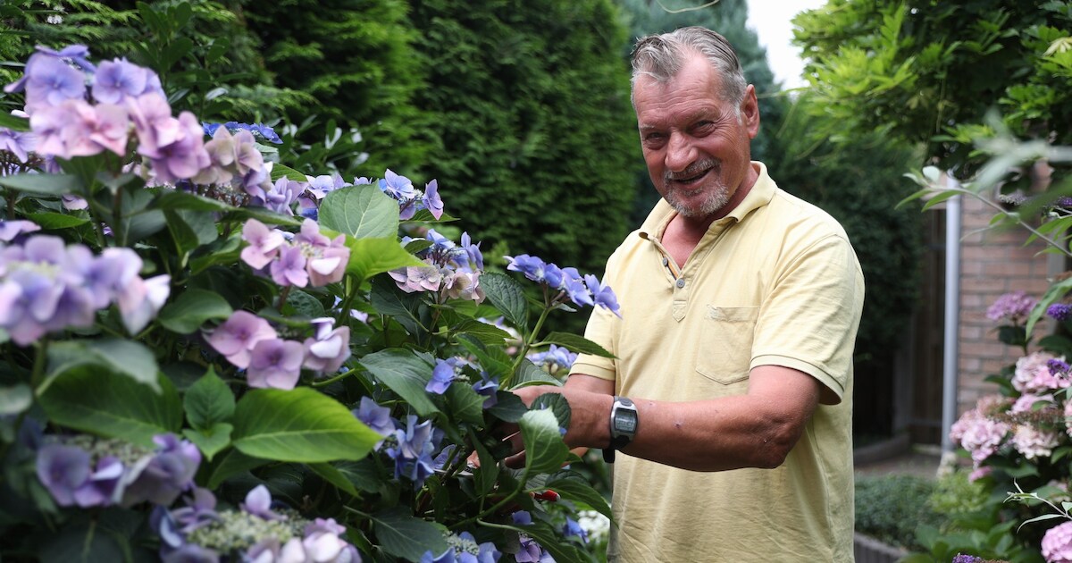 Van Helso tot Senzer, Rob uit Asten maakt de 47 jaar vol: ‘Rob is het ...