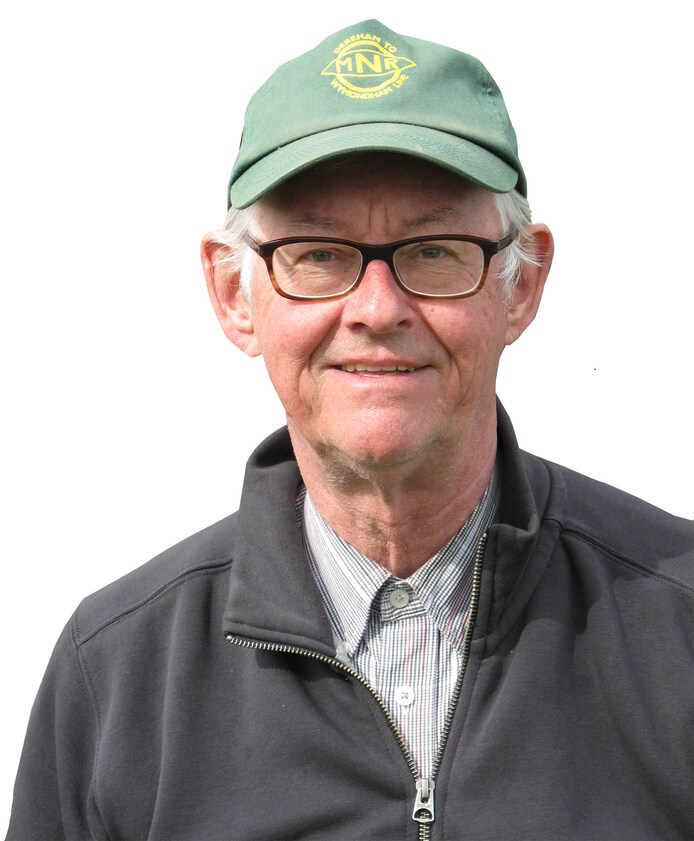 Theo Barten wekt bekende gebouwen tot leven: ontdek een Bossche wereld ...