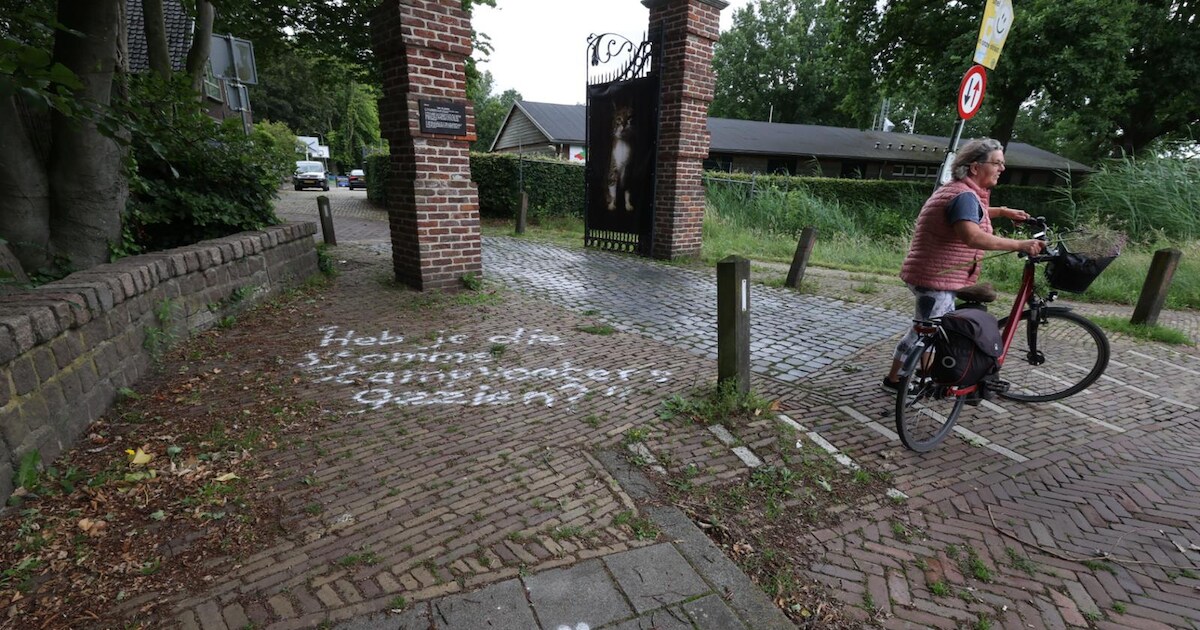 Mysterie achter de kattenfoto's in het Helmondse straatbeeld ...