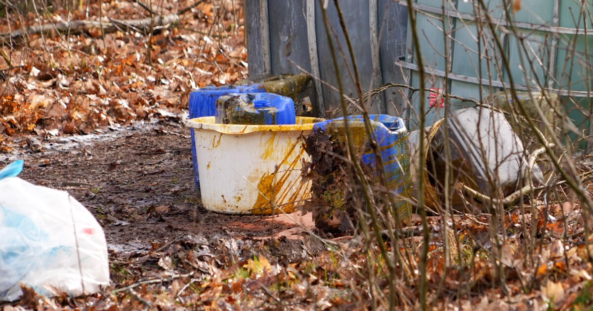 Drugsdumping in bos op de grens tussen Brabant en Limburg | Deurne | ed.nl