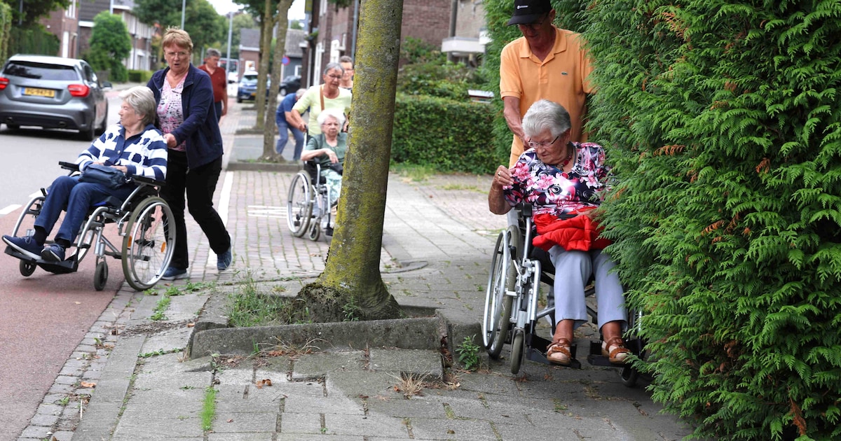 Kruip-door-sluip-door naar het Citycentrum | Regio | ED.nl