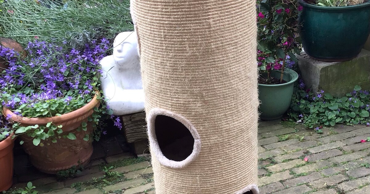 Poes Sam geeft z’n krabpaal weg en welk kind is z’n portemonnee ...