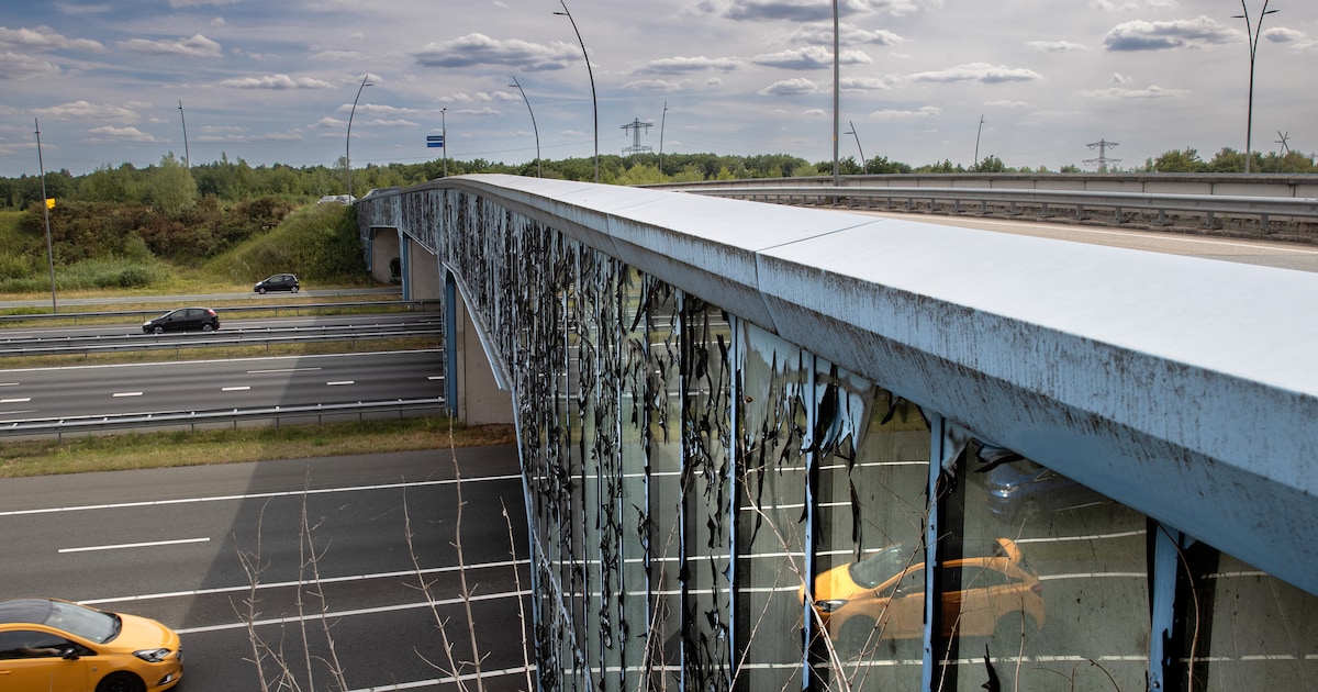 Rijkswaterstaat over verloederd viaduct bij High Tech Campus ...