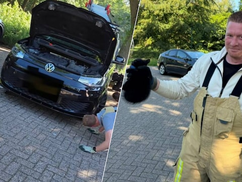 Kitten zit vast onder motorkap van auto in Eersel, brandweerlieden en ...