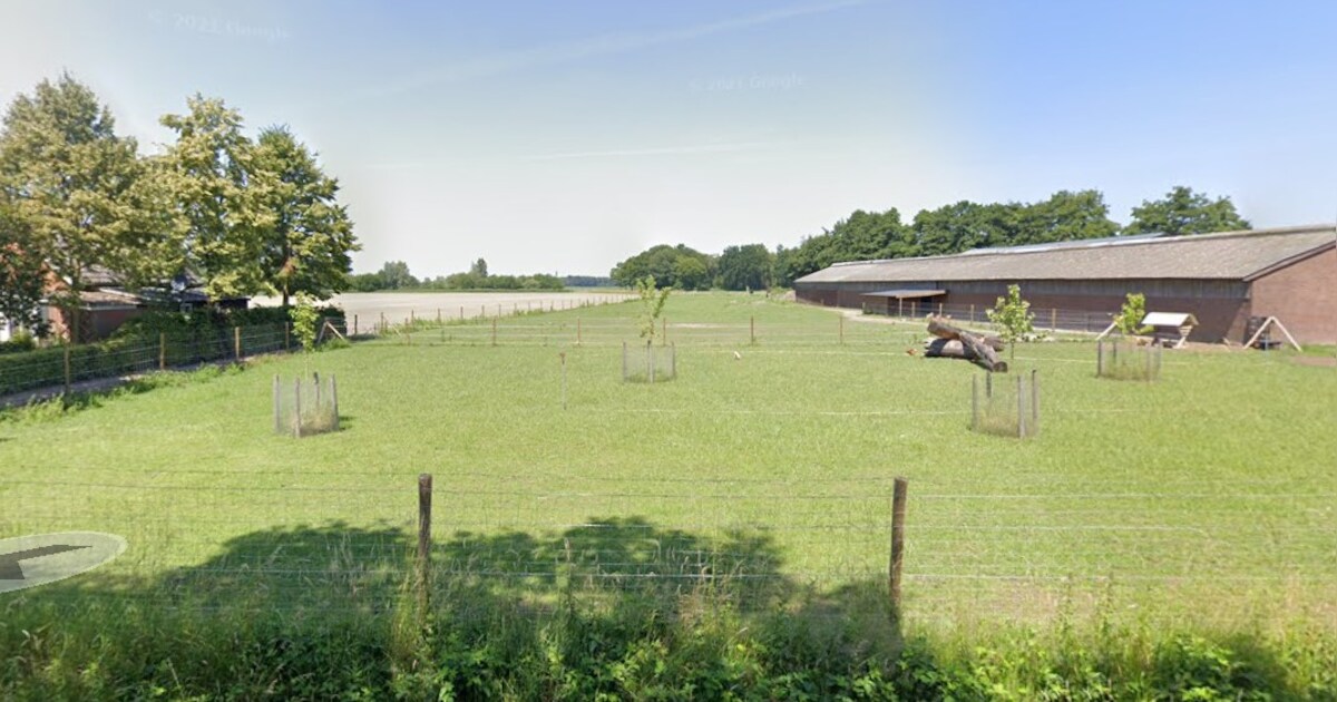 Oude stal nabij Berkendonk kan omgebouwd worden tot zes ...