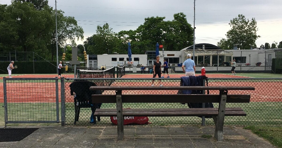 TC de Helze in Geldrop krijgt vier padelbanen, extra optie voor leden ...