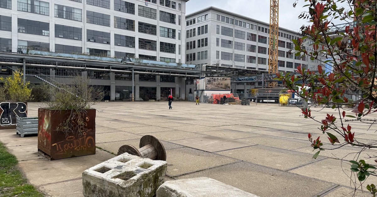 Alcoholver­bod op Strijp-S en bij het Sint Trudoplein: biertje drinken ...