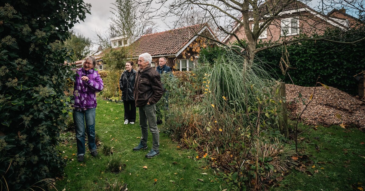 Met wat hulp je tuin klimaatvriendelijk maken: ‘We duwen niemand iets ...