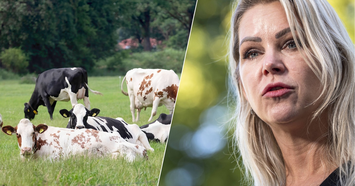 De Peel krijgt nu miljoenen, maar heeft straks miljarden nodig | Regio ...