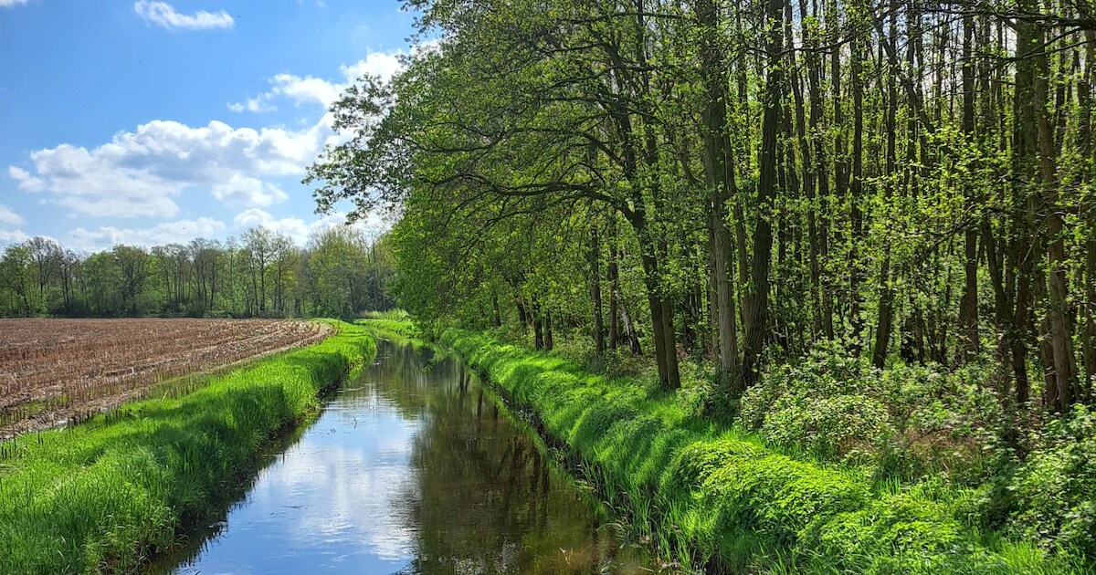Startsein gegeven voor laatste fase van herstel de Run in Veldhoven ...