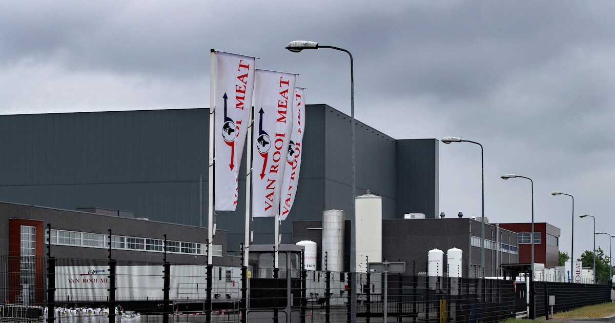 Waarschijnlijk dinsdag duidelijk of slachterij Van Rooi Meat in Helmond ...