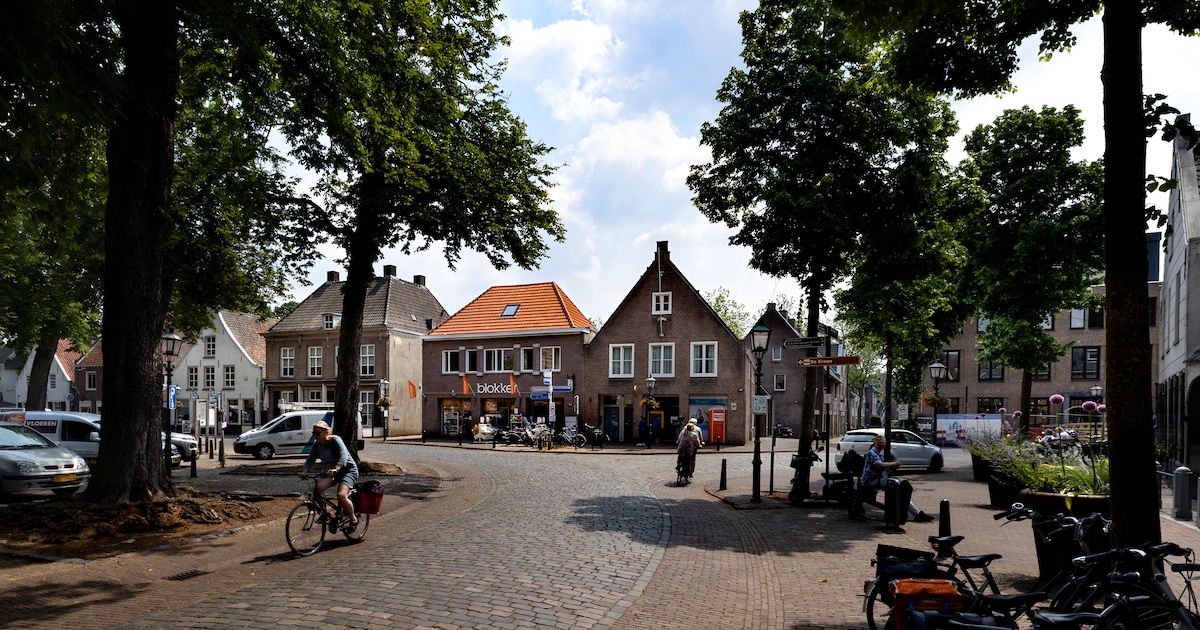 Plan voor nieuwe pot met geld van ondernemers in centrum Oirschot ...