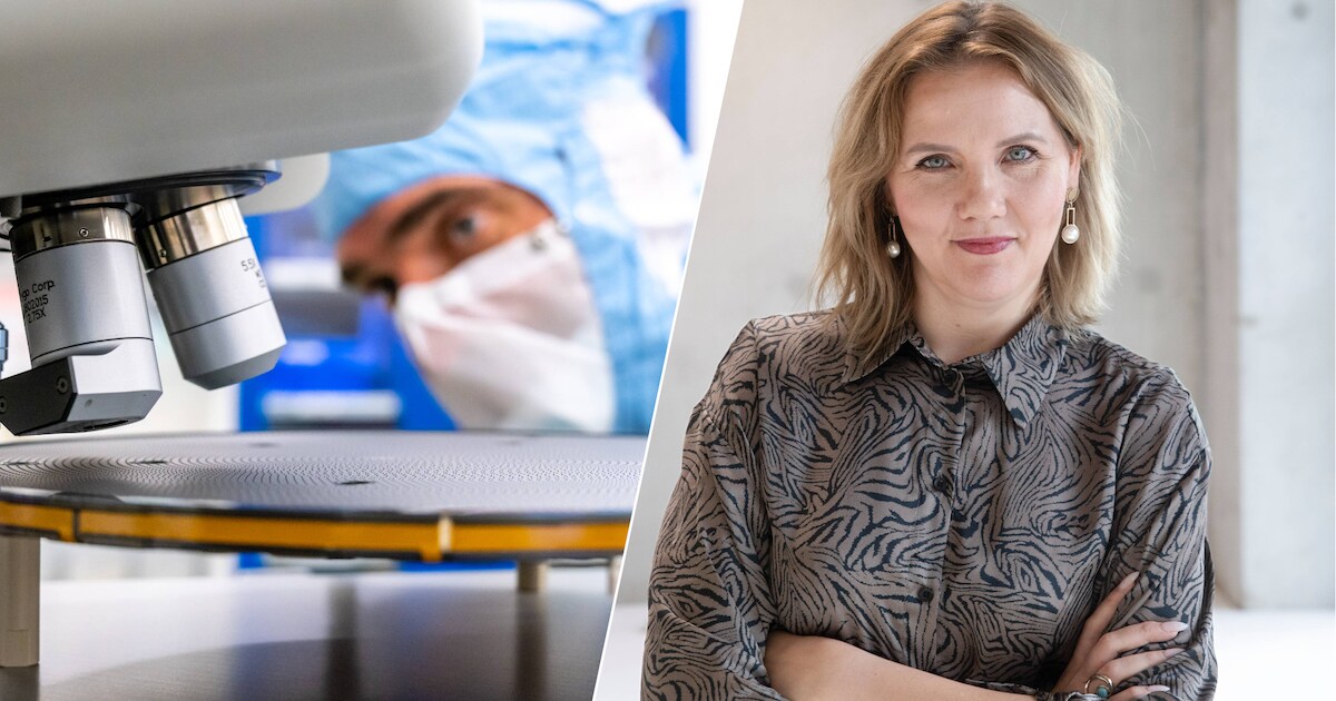 Veldhoven Actueel: ASML verwacht zeer sterke groei door AI | Veldhoven ...