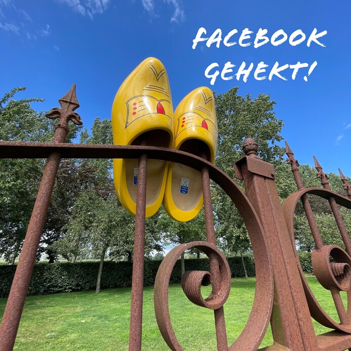 Met één klik op de verkeerde link is Marie-Louise al haar volgers kwijt ...