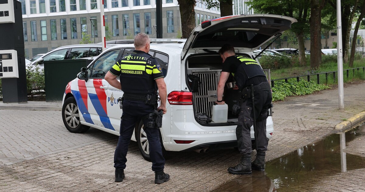 Belager die docent Fontys op toilet probeerde te verkrachten krijgt ...