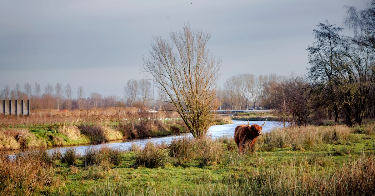 Je spaarvarken stuk slaan voor nieuwe natuur in je buurt, Brabants ...