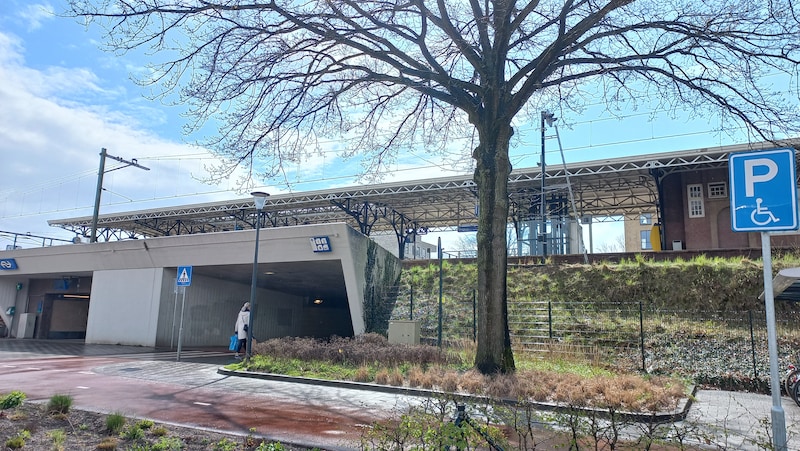 Openbaar vervoer in Geldrop en Mierlo uitgebreid met Bravoflex-busjes ...