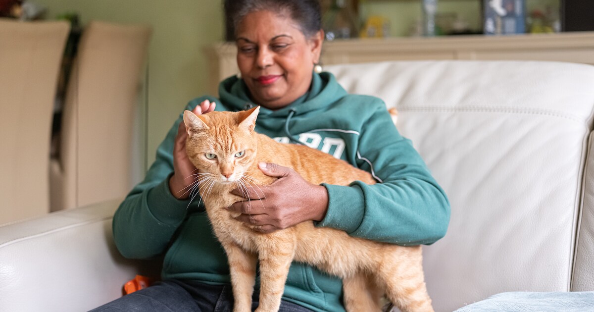 Baasje van vermiste kat Chester is dolgelukkig nu hij na 2,5 jaar ...