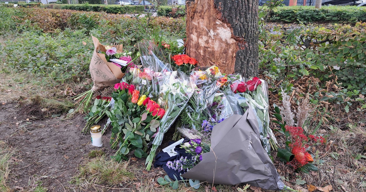 Verdriet, troost en ongeloof langs de N284 na dodelijk ongeluk met jongen (17) uit Reusel ...